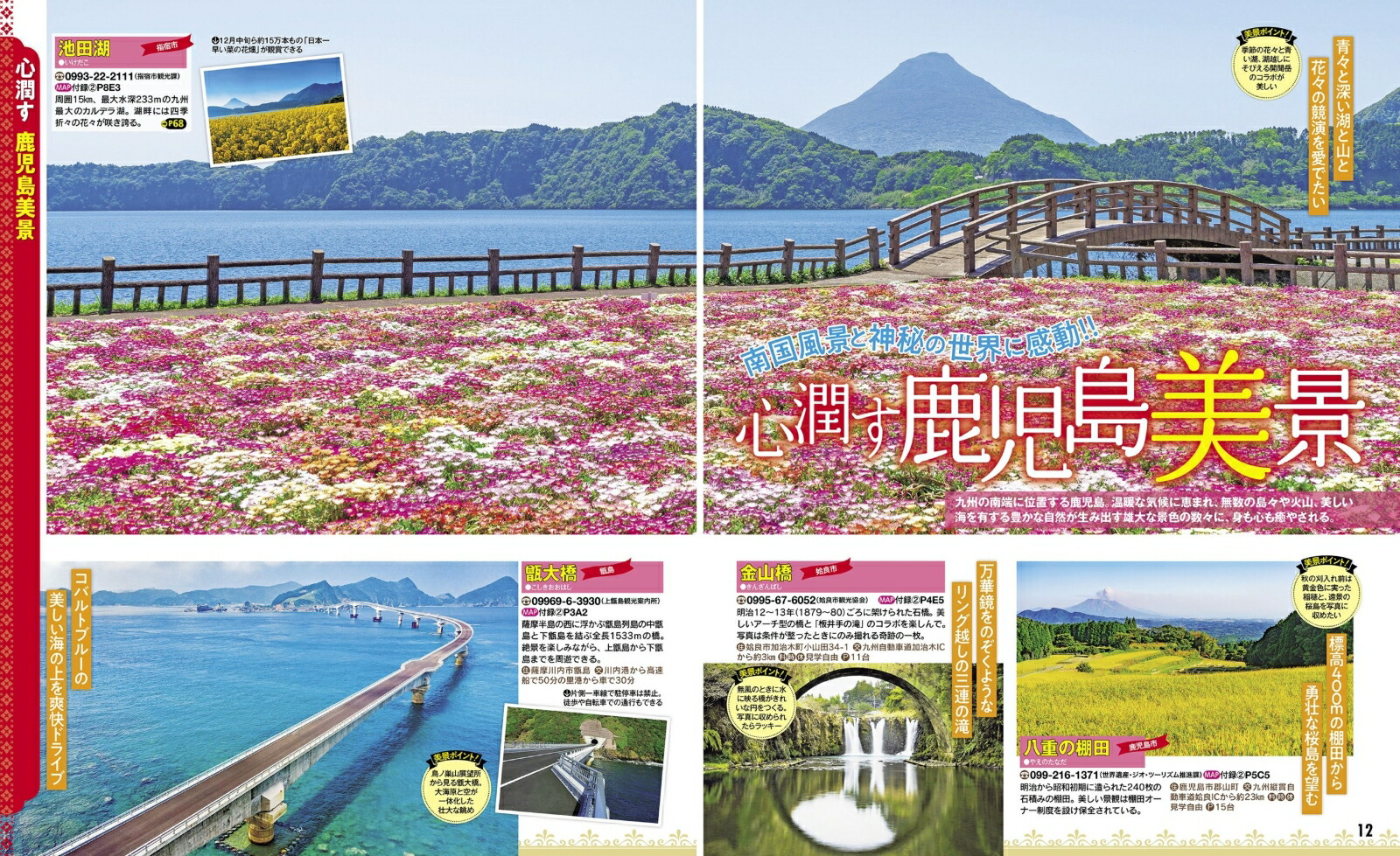 楽天ブックス るるぶ 鹿児島 指宿 霧島 桜島 23 Jtbパブリッシング 旅行ガイドブック 編集部 9784533151620 本